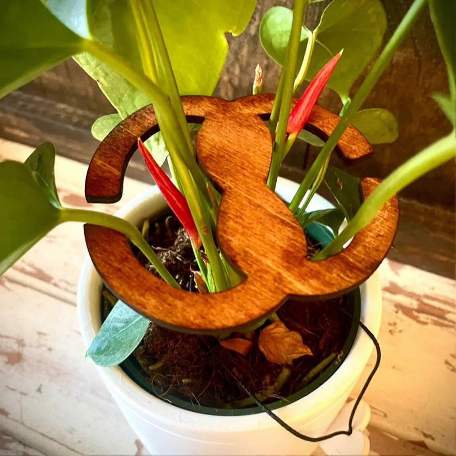 Monstera Plant Stem Holder Wooden Plant Stem Stabilizer Indoor Plant ...