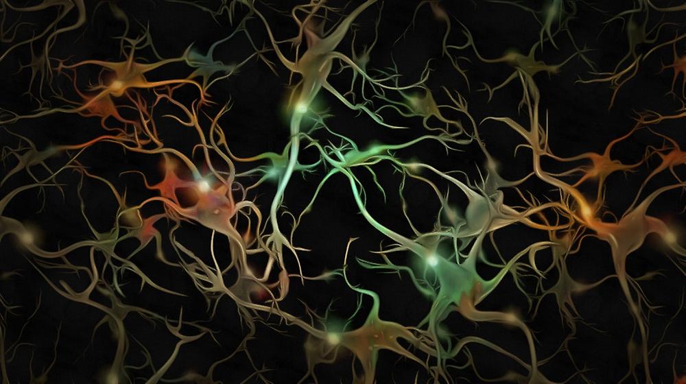 Brain Neurons and glowing nodes. Vivid painting Poster | Fruugo DE