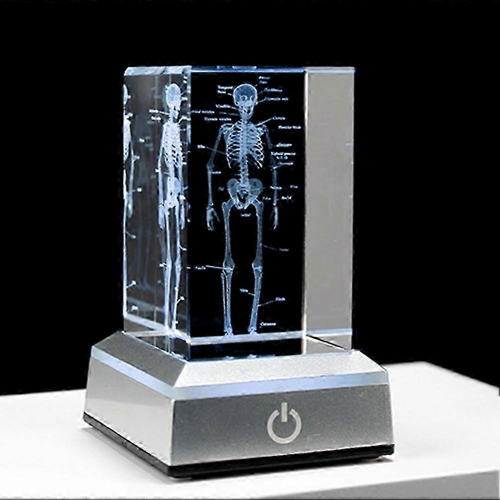 3D Laser Engraved Human Skeletal Crystal Cube Figurines, Medical ...