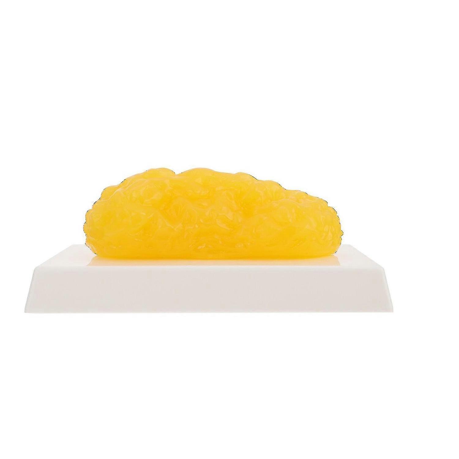 Human Body Fat Replica 1 Pound Fat Model Fat Anatomical Fat Model ...