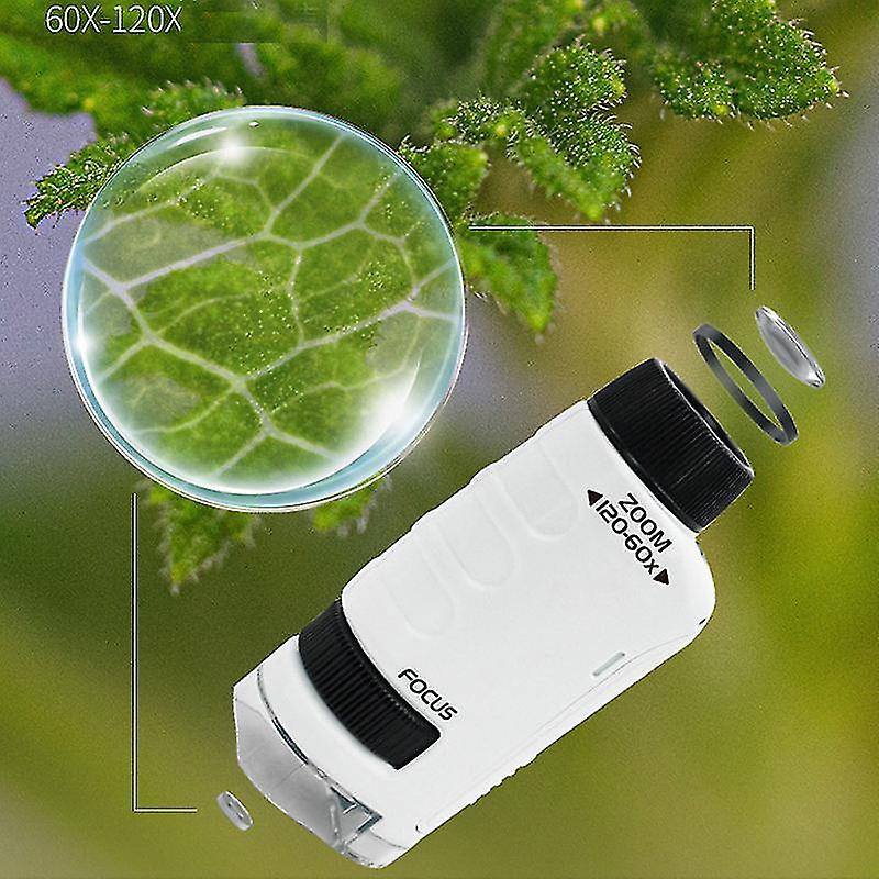 Wireless Digital Microscope, Handheld Hd Usb Microscope Inspection ...