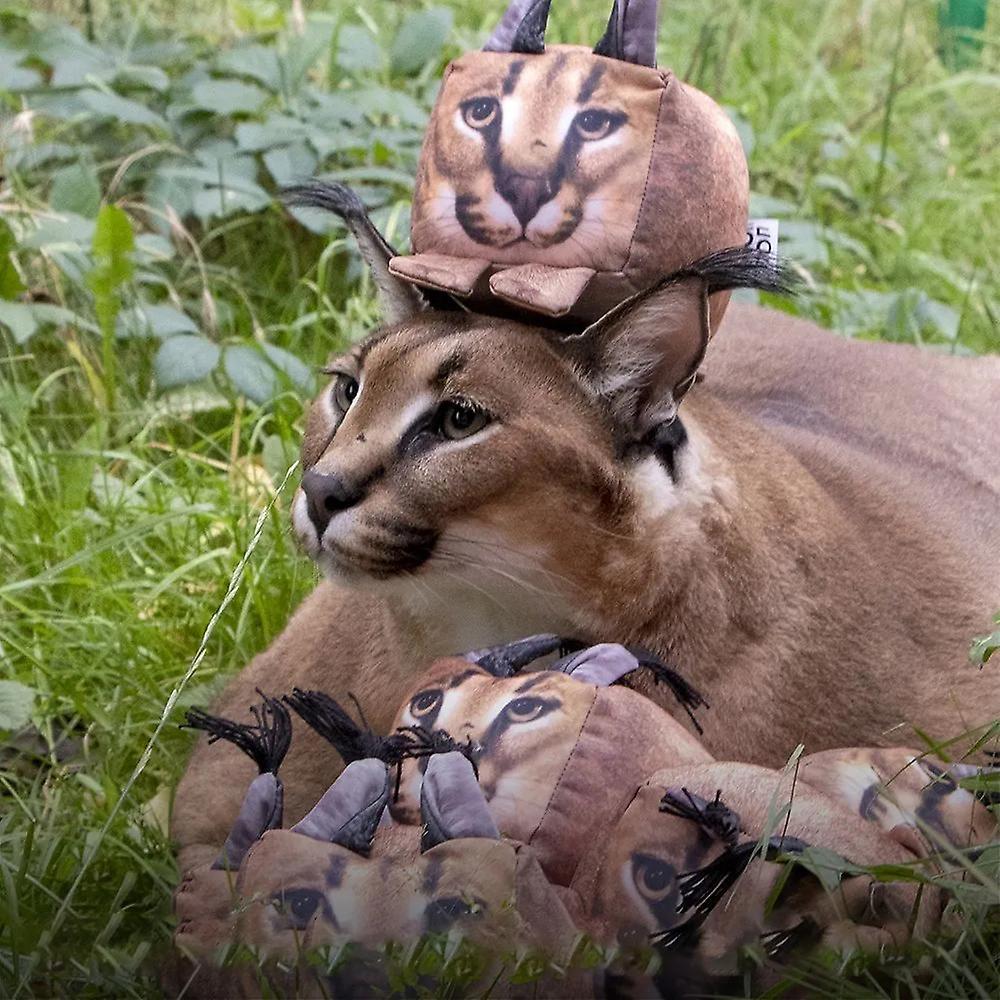 Floppa Realistic Caracal Chubby Plush Toy Stuffed Animals Figurine ...