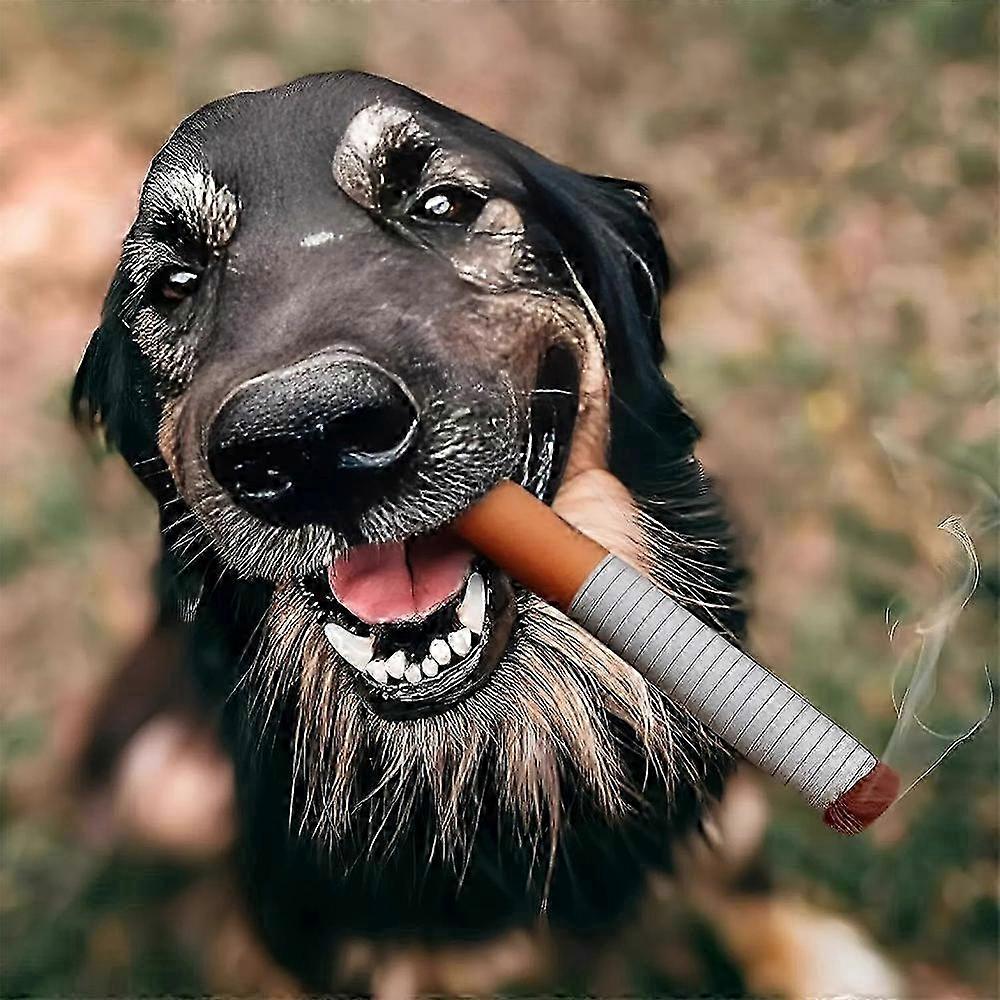 Interactive Giggles Stick Dog Toy, Cigarette Dog Toy, Squeaky Cigar ...