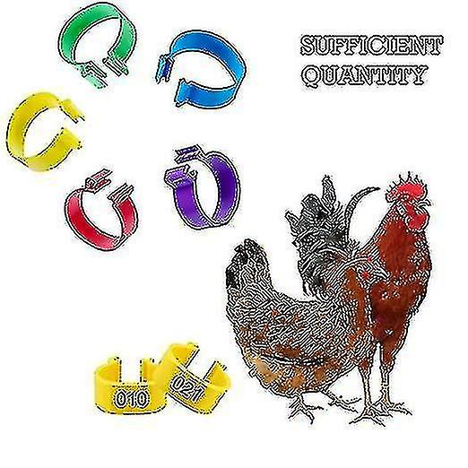 Hen Ring Leg Rings Identification 20mm Plastic Colored Chicken Bands ...