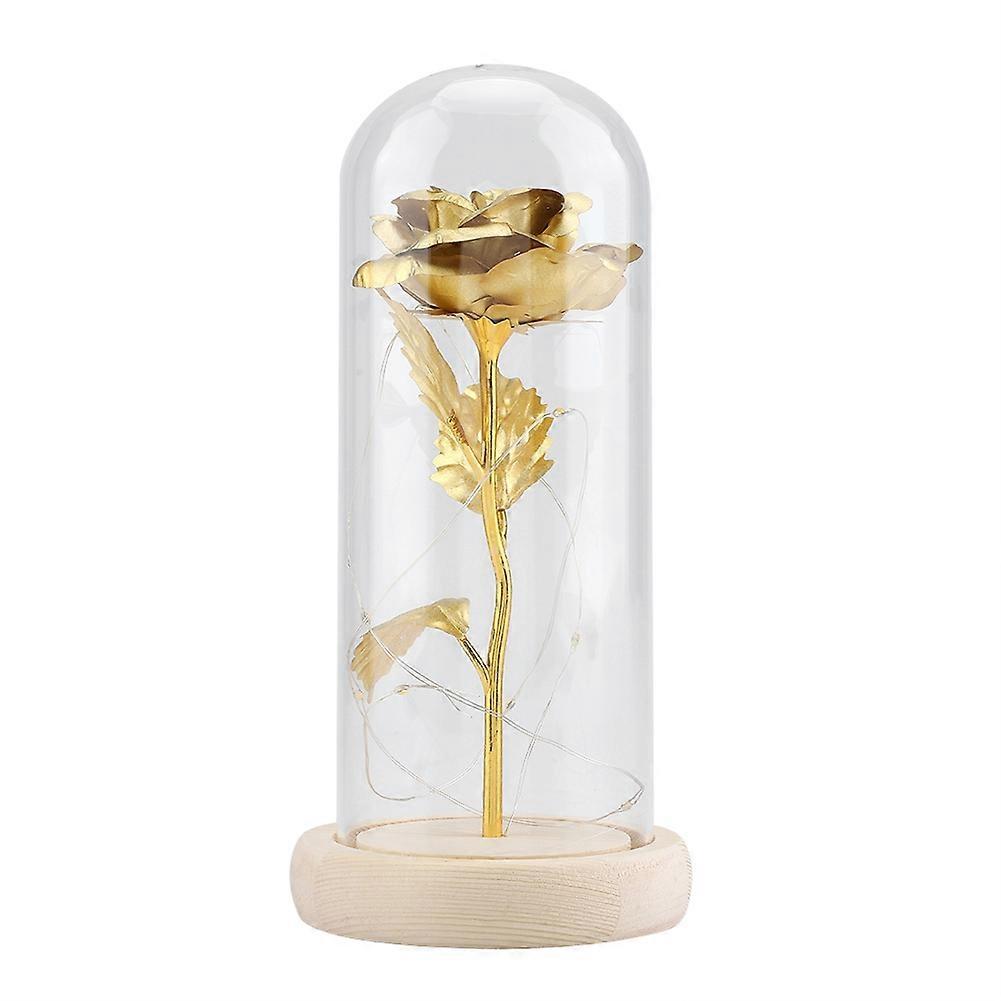 Preserved Rose Flower LED Light with Glass Cover & Wooden Base ...