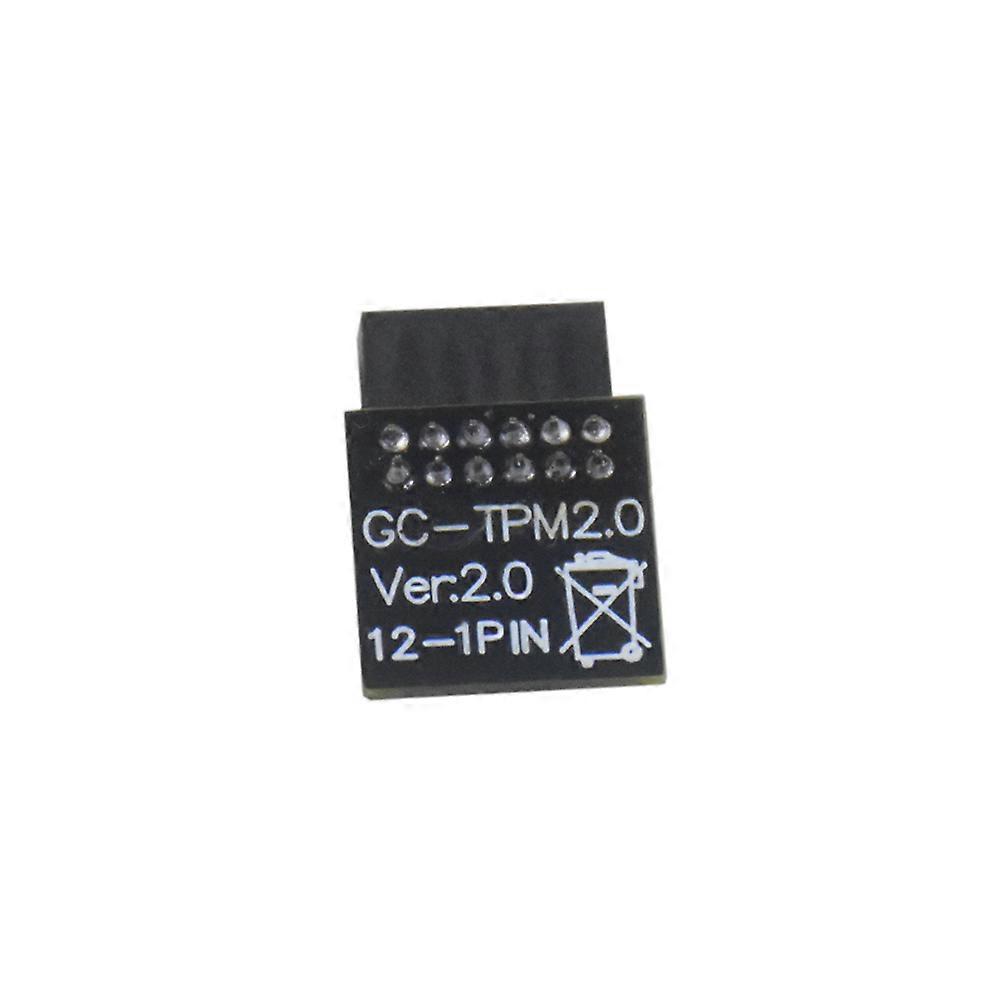 For GIGABYTE GC TPM 2.0 Motherboard 12 Pin TPM 2.0 Module LPC Upgrade ...