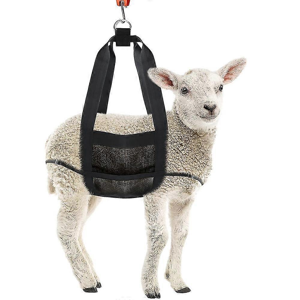 Calf Sling For Weighing Small Animals,livestock Sling, Hang Scale, Calf ...