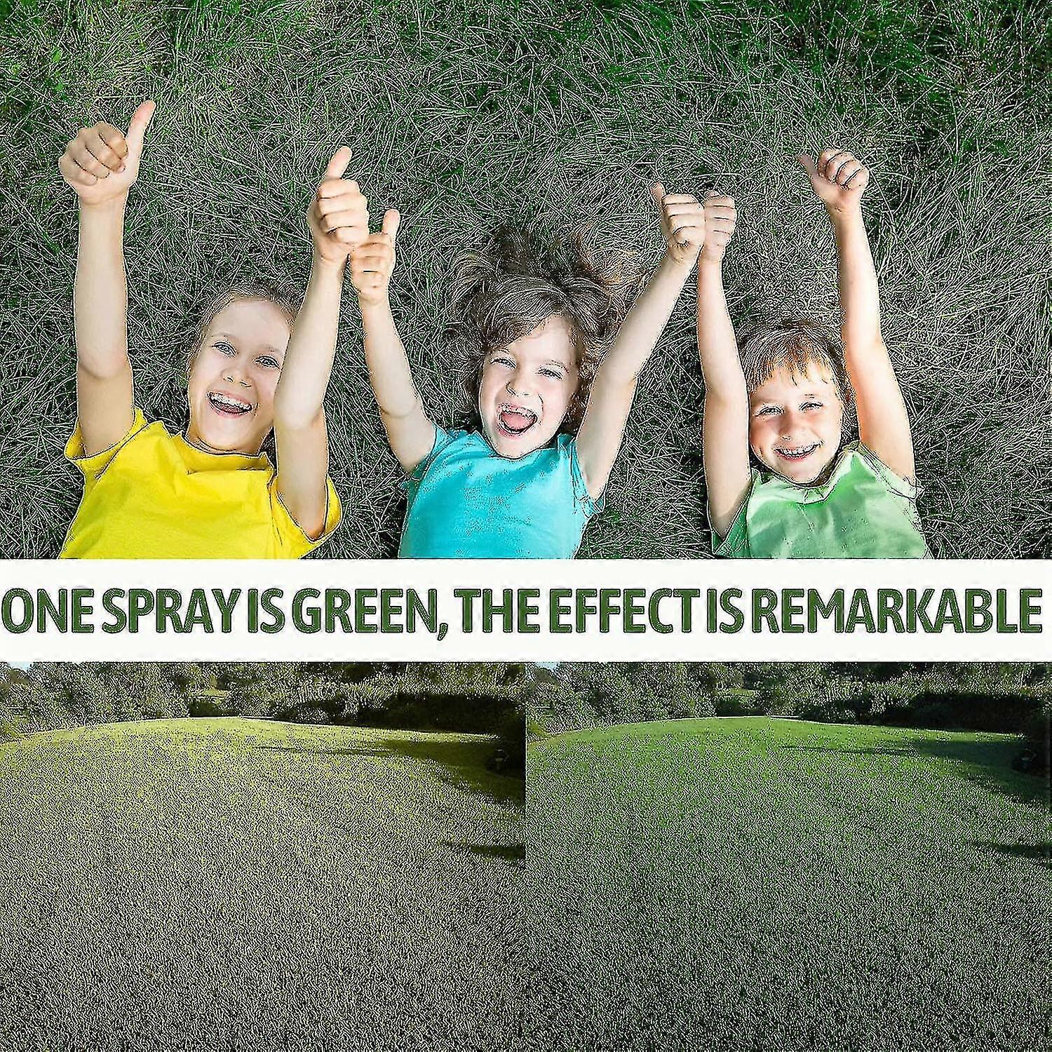 Green Grass Paint For Lawn, Sprayer Green Grass Paint, Lawn Dye Ready ...