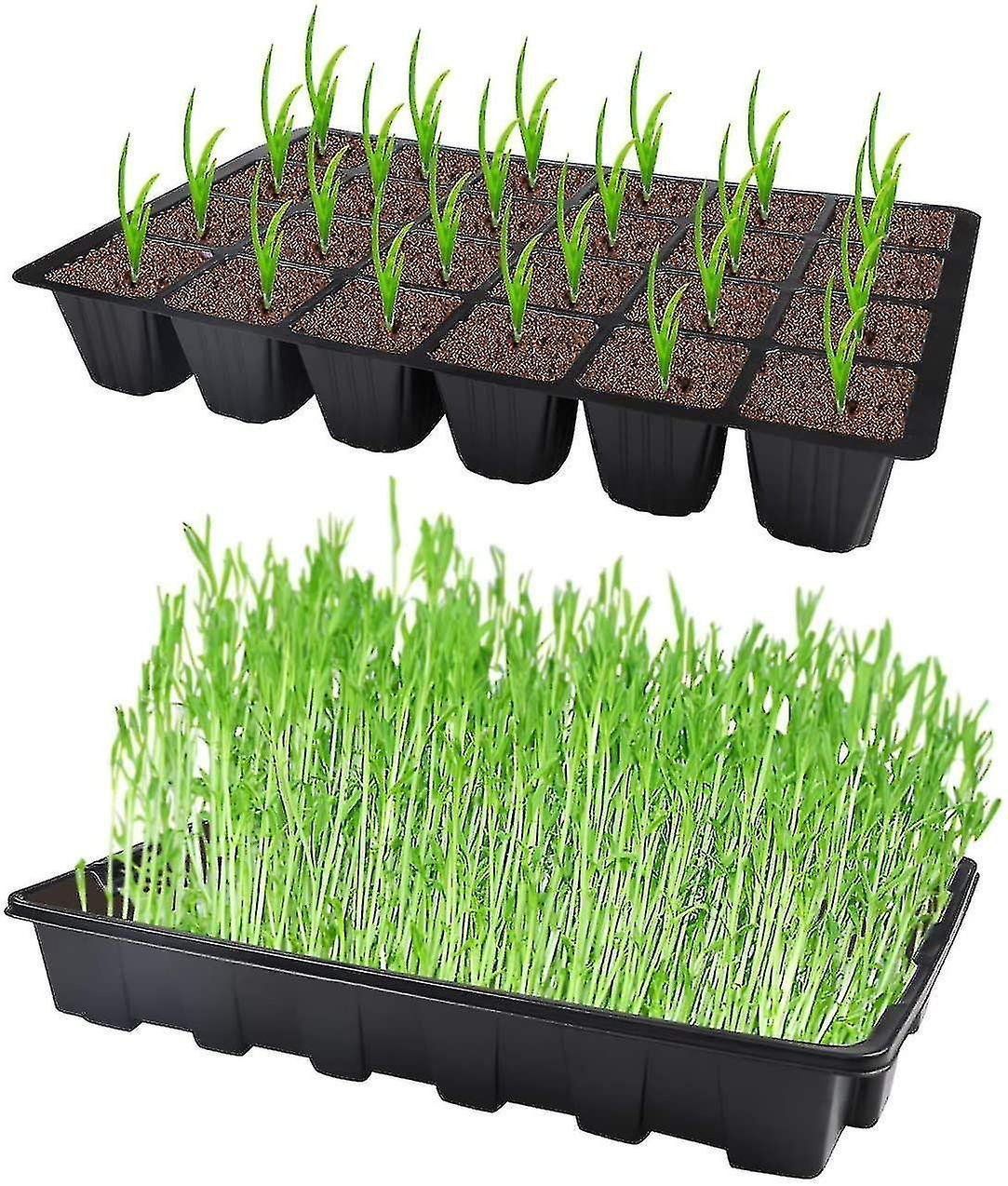 Seed Trays With Lids 5 Pack 120 Cells Seed Propagator Tray Germination ...