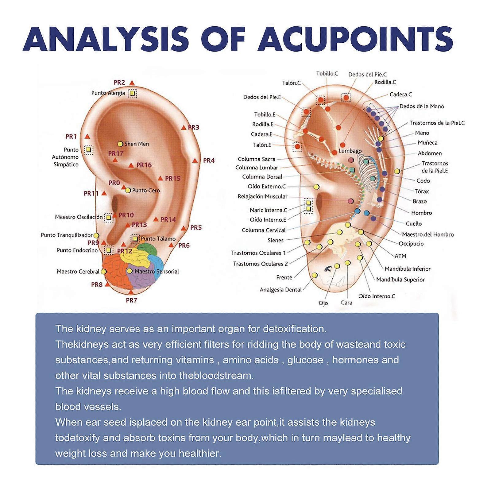 120pcs Magnetic Acupressure Ear Beads, Ear Pressure Patch, Magnet Lose ...