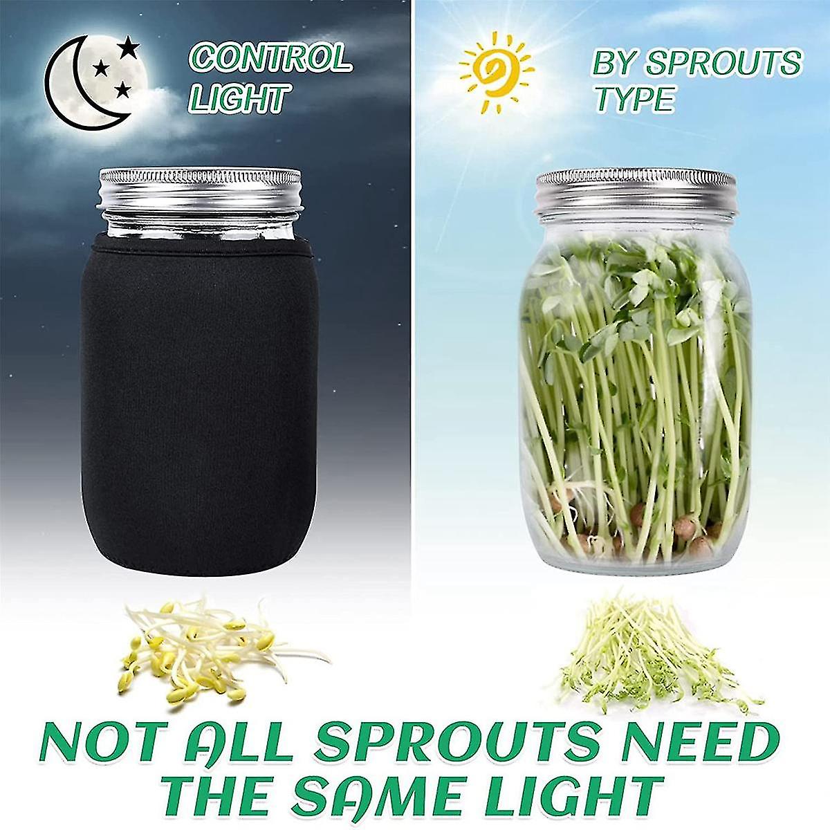 Seed Sprouting Jar Kit with 2 Wide Mouth Jars Bean Sprouts Growing Kit ...