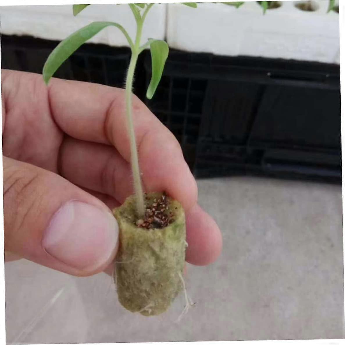 Cube Breeding Hydroponic Block Vegetable cylindric Plant greenhouse ...