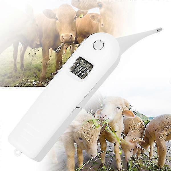 Veterinary Electronic Pigs Cattle Sheep Thermometer Temperature Tester ...