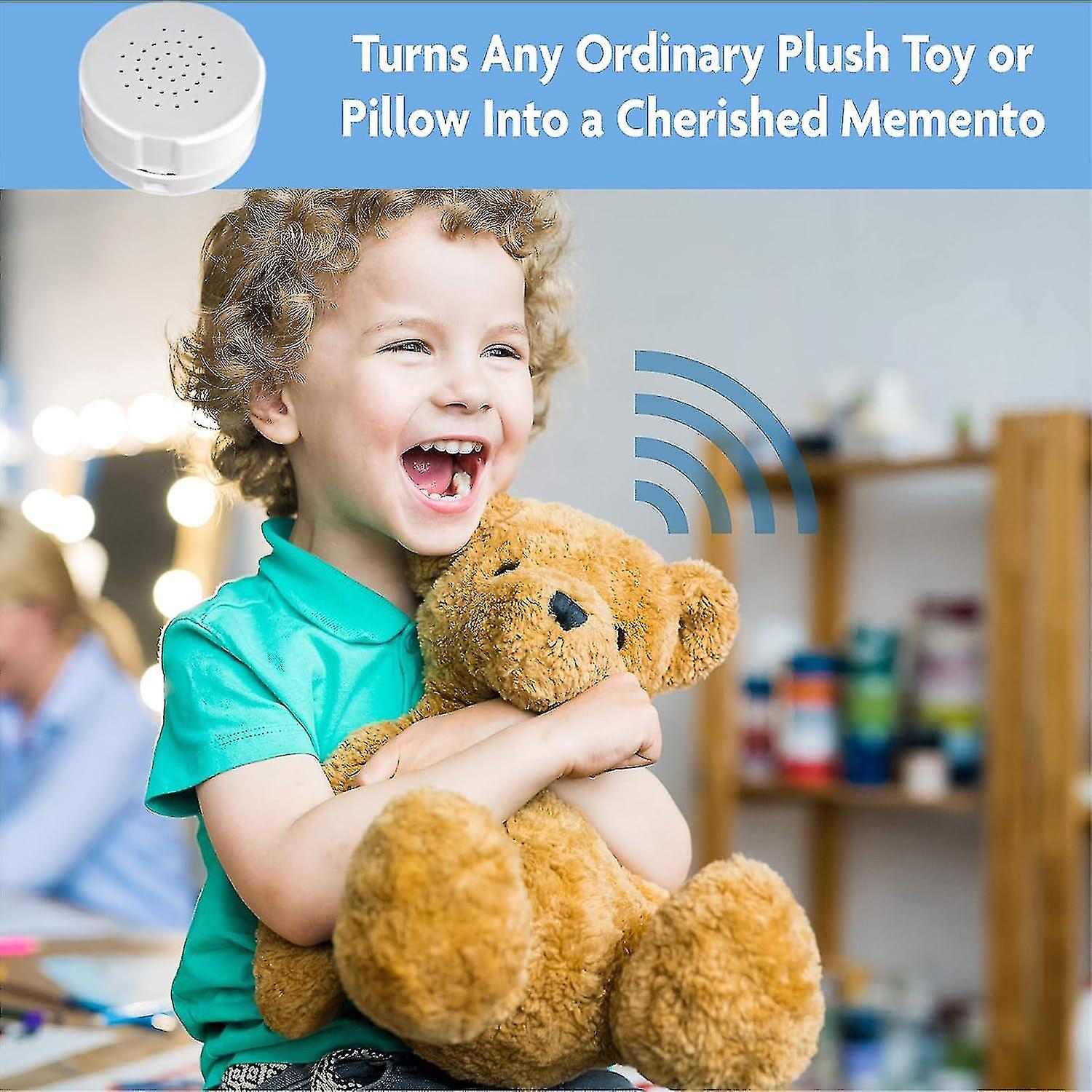 Voice Recorder for Teddys Bear Press Recordable Voice Sound Box ...