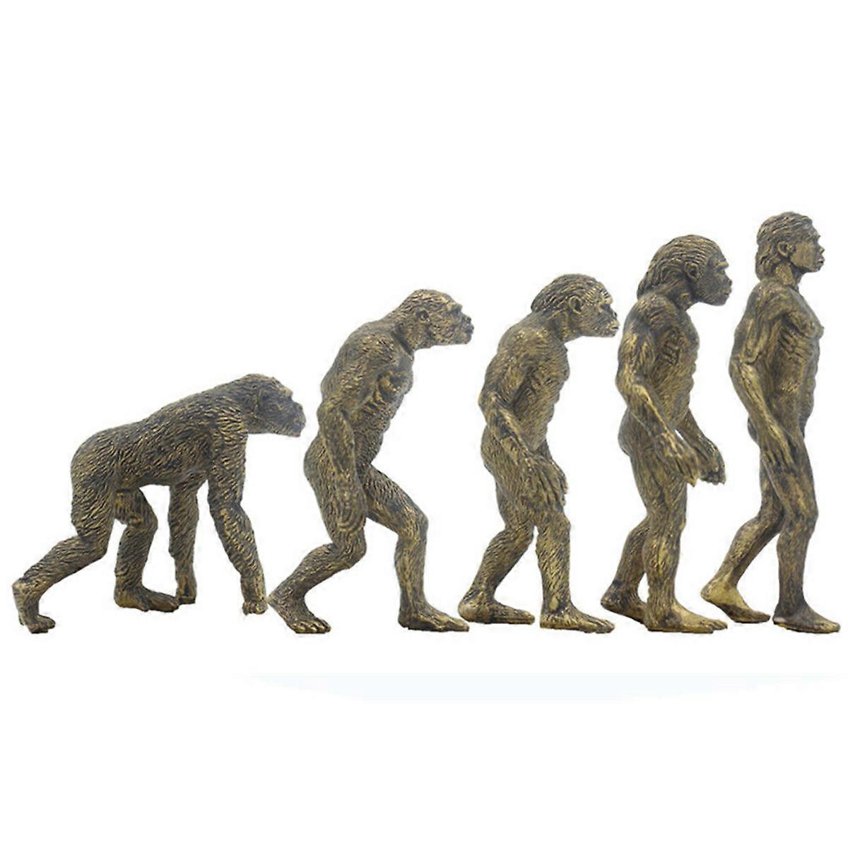 Ramapithecus Australopithecus Homo Habilis Homo Erectus Ape Man Figure ...