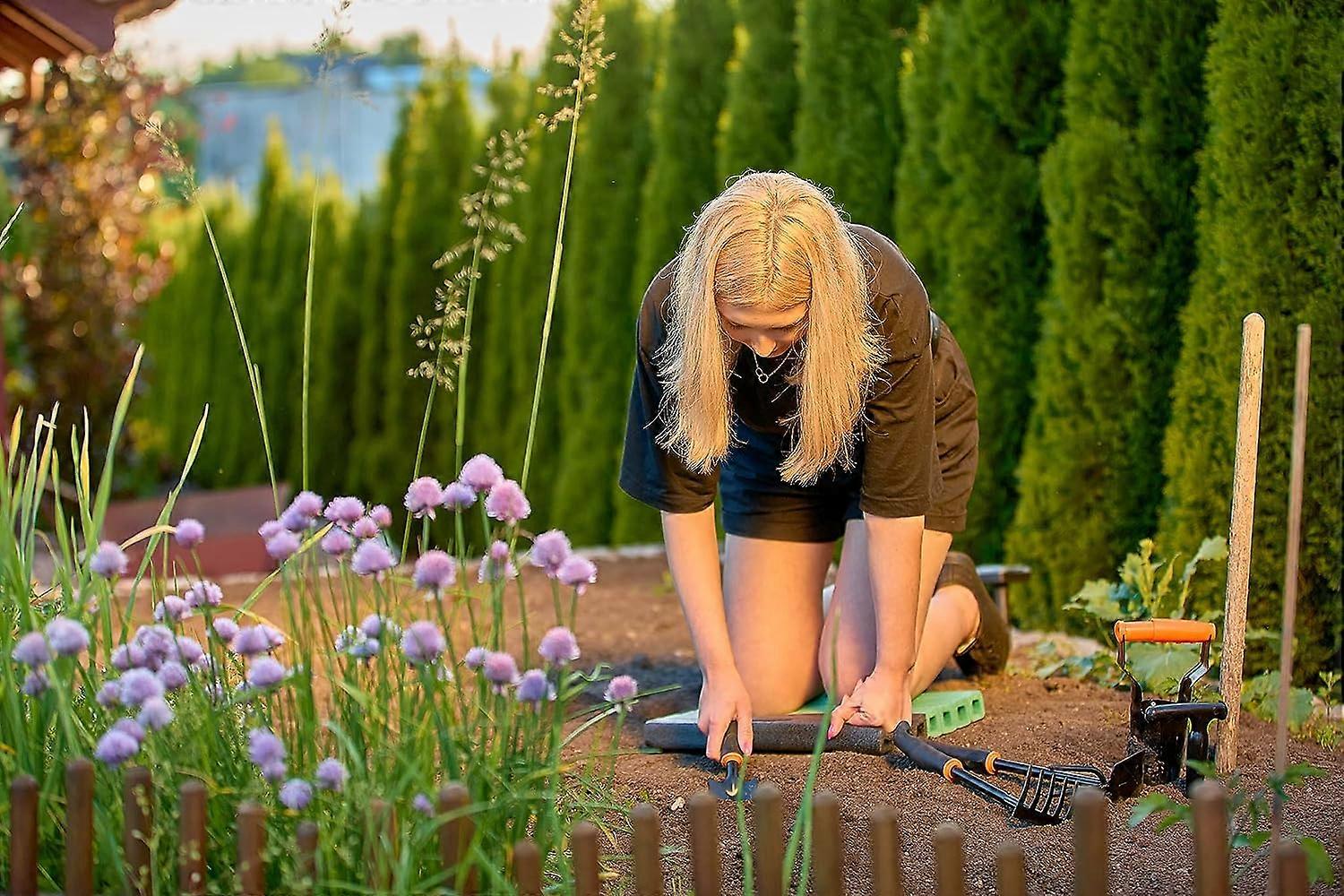 Luxury garden rake 9 cm wide in black lacquered carbon steel | Garden ...