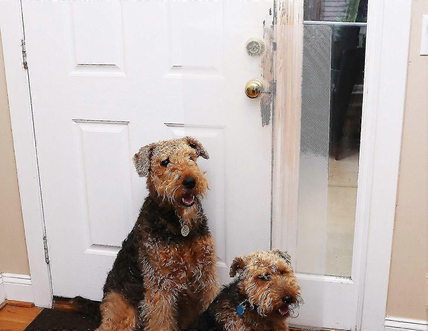 Big Dog Scratch Shield, Heavy Duty, Ultimate Wall, Frame & Door ...