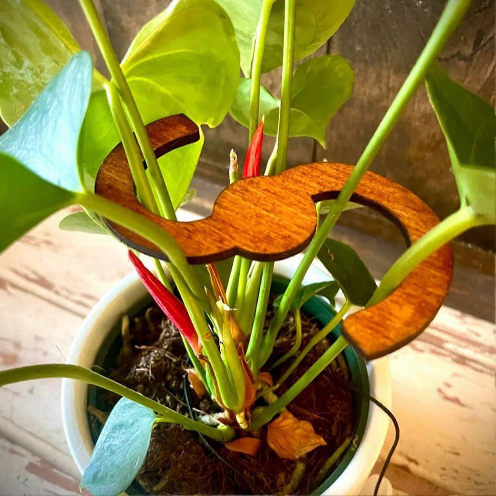 Monstera Plant Stem Holder Wooden Plant Stem Stabilizer Indoor Plant ...