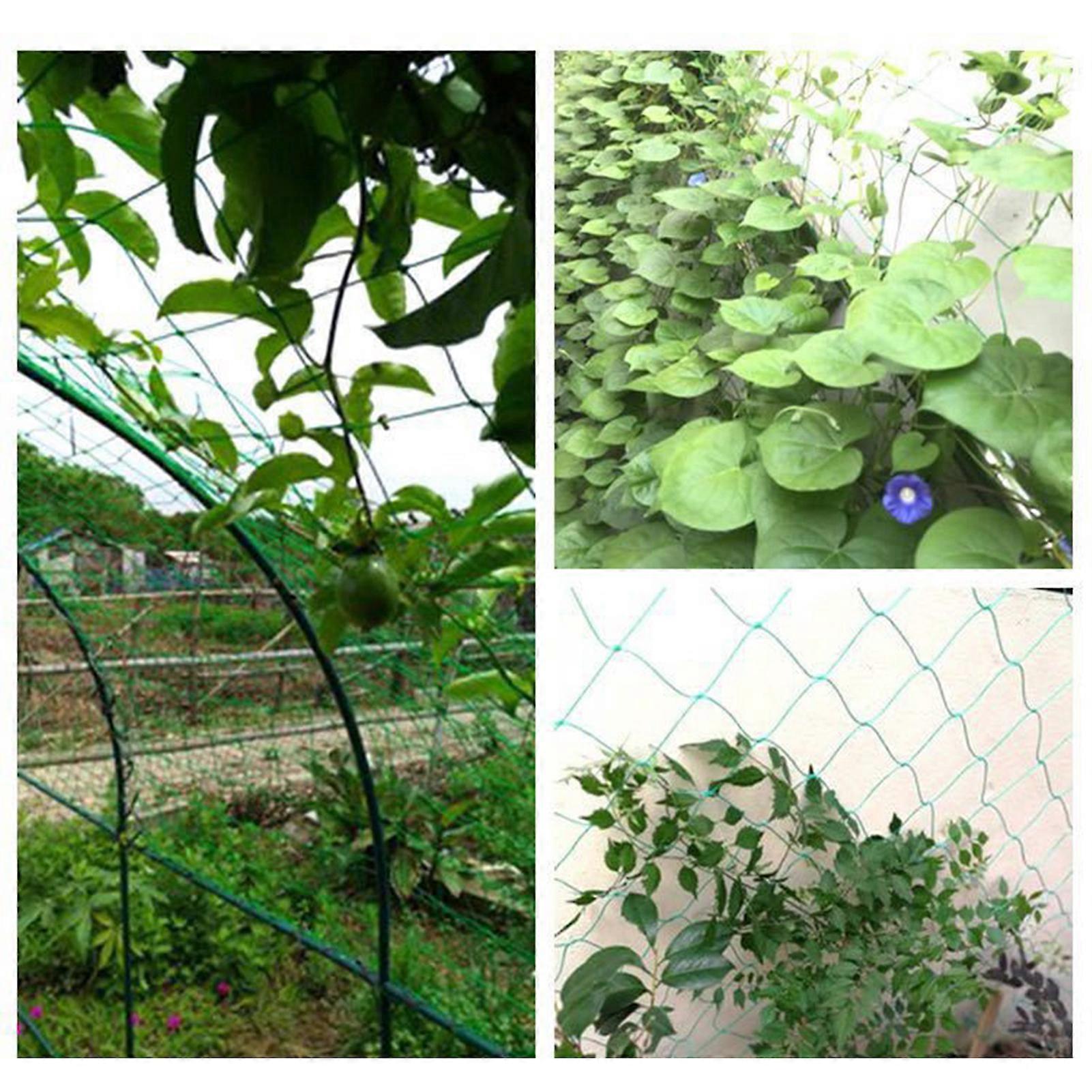 Plastic Plant Climbing Vine Net Orchid Netting Vine Support Green Grid ...