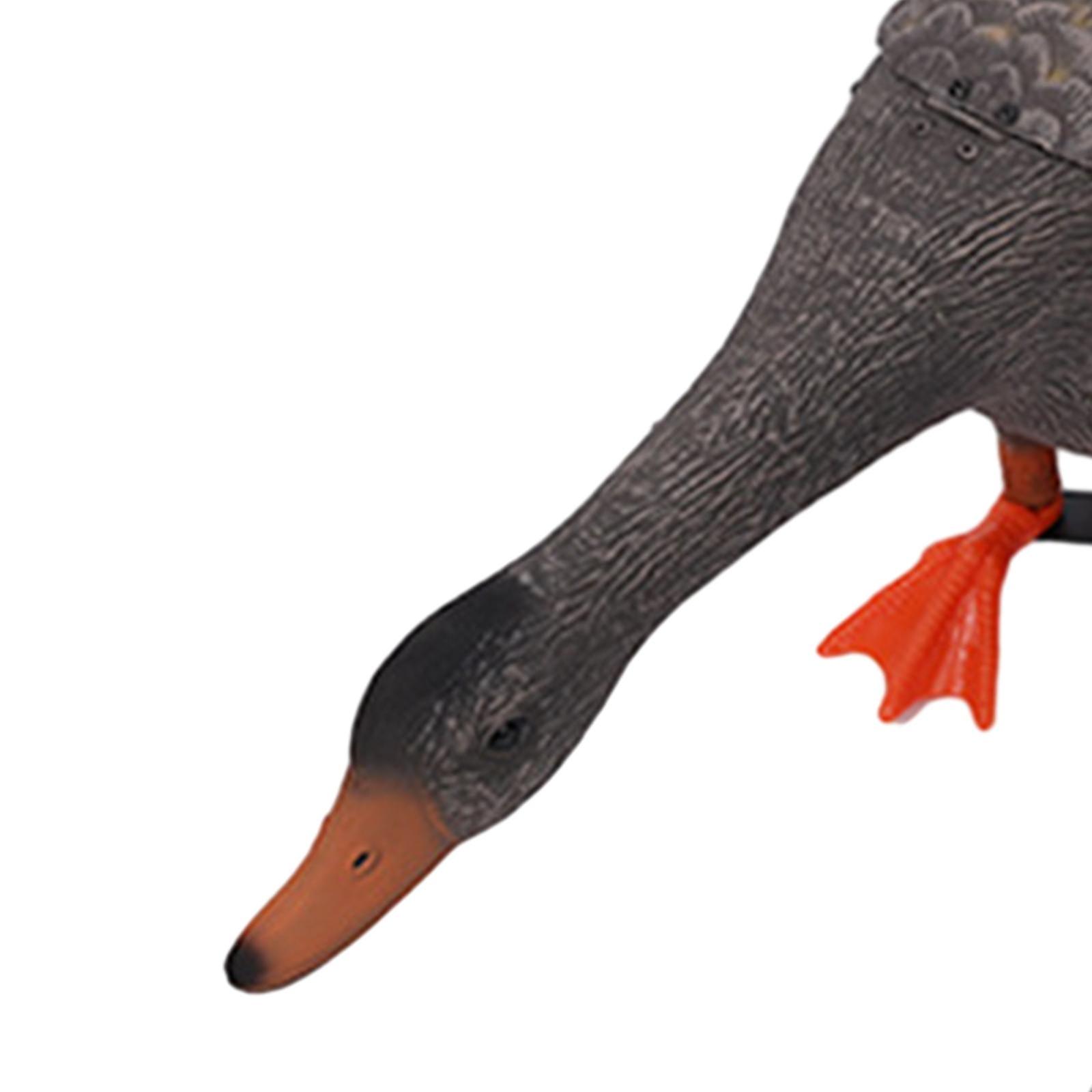 Electric Flying Duck Decoy Smooth Remote Control Lifelike For Lawn ...