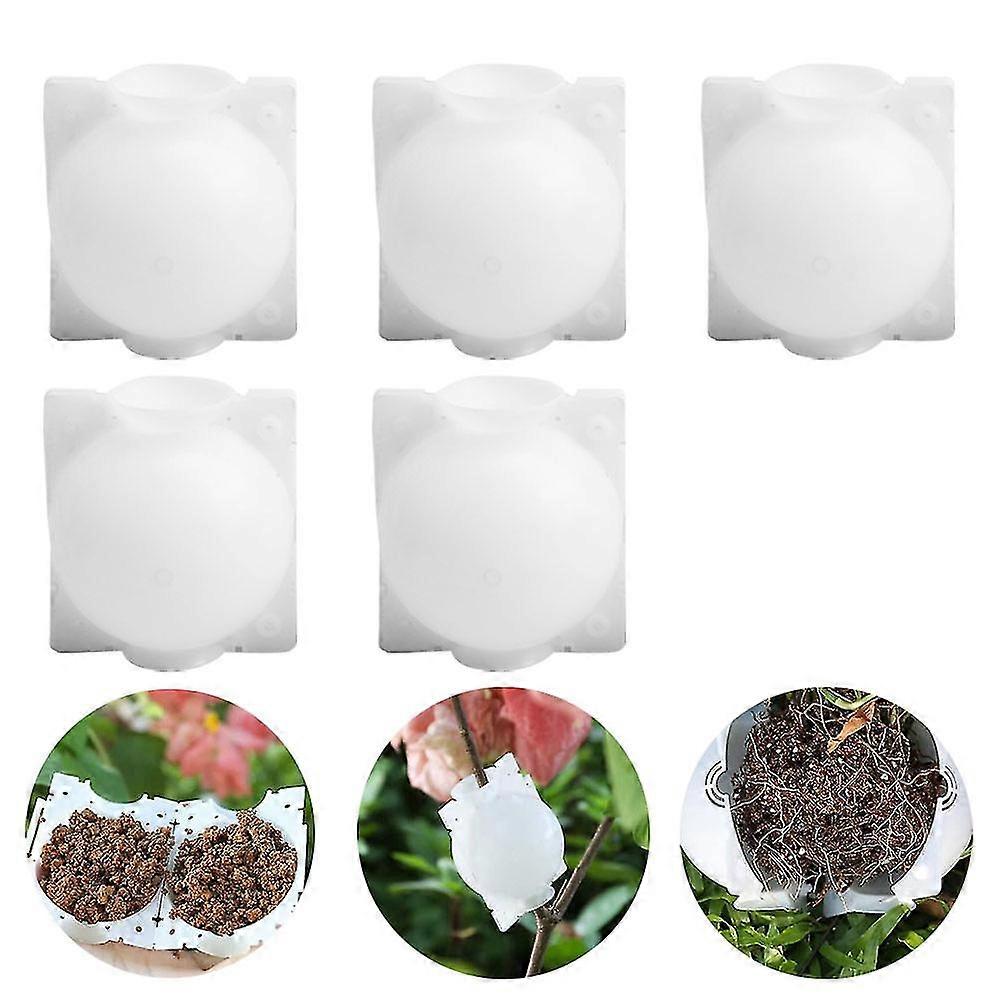10 Pack Plant Rooting Deviceplant Root Growing Box For Plant ...
