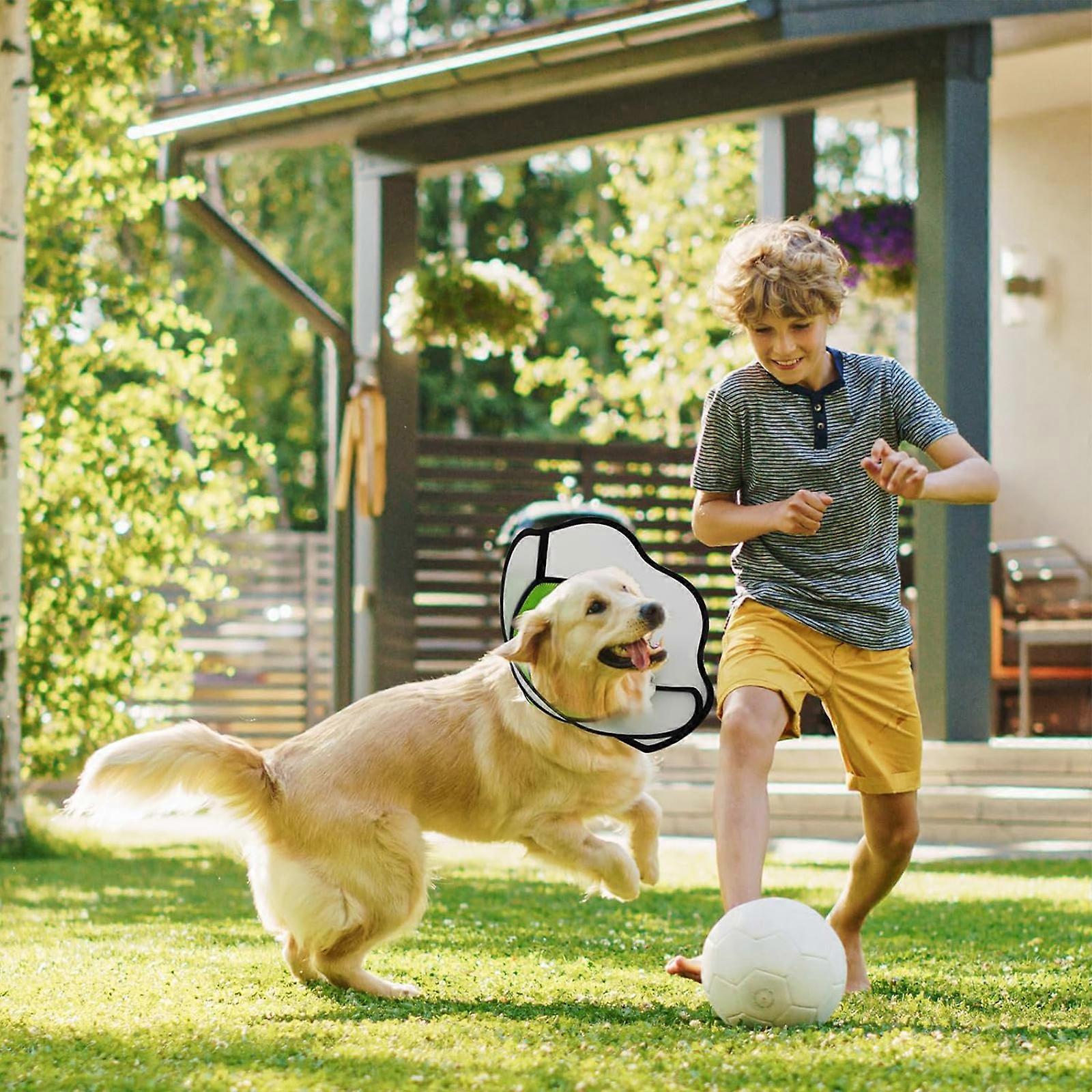 Dog & Cat Cone Recovery Collars, Elizabethan Cones After Surgery Soft ...