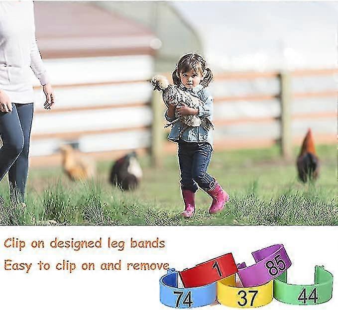 Hen Ring Leg Rings Identification 20mm Plastic Colored Chicken Bands ...