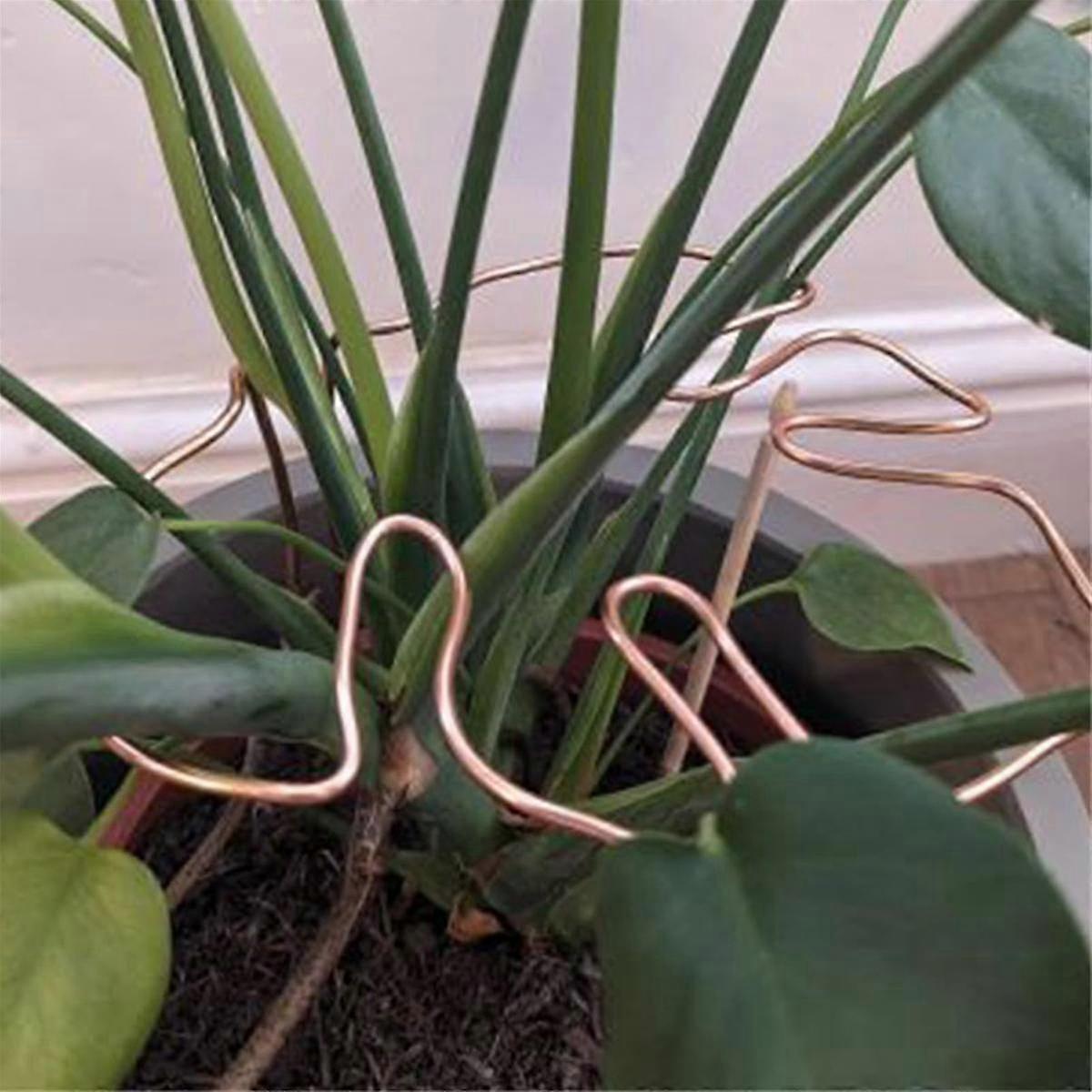 Monstera Shaped Plant Support Reusable Sturdy Alloy Plant Stem Support ...