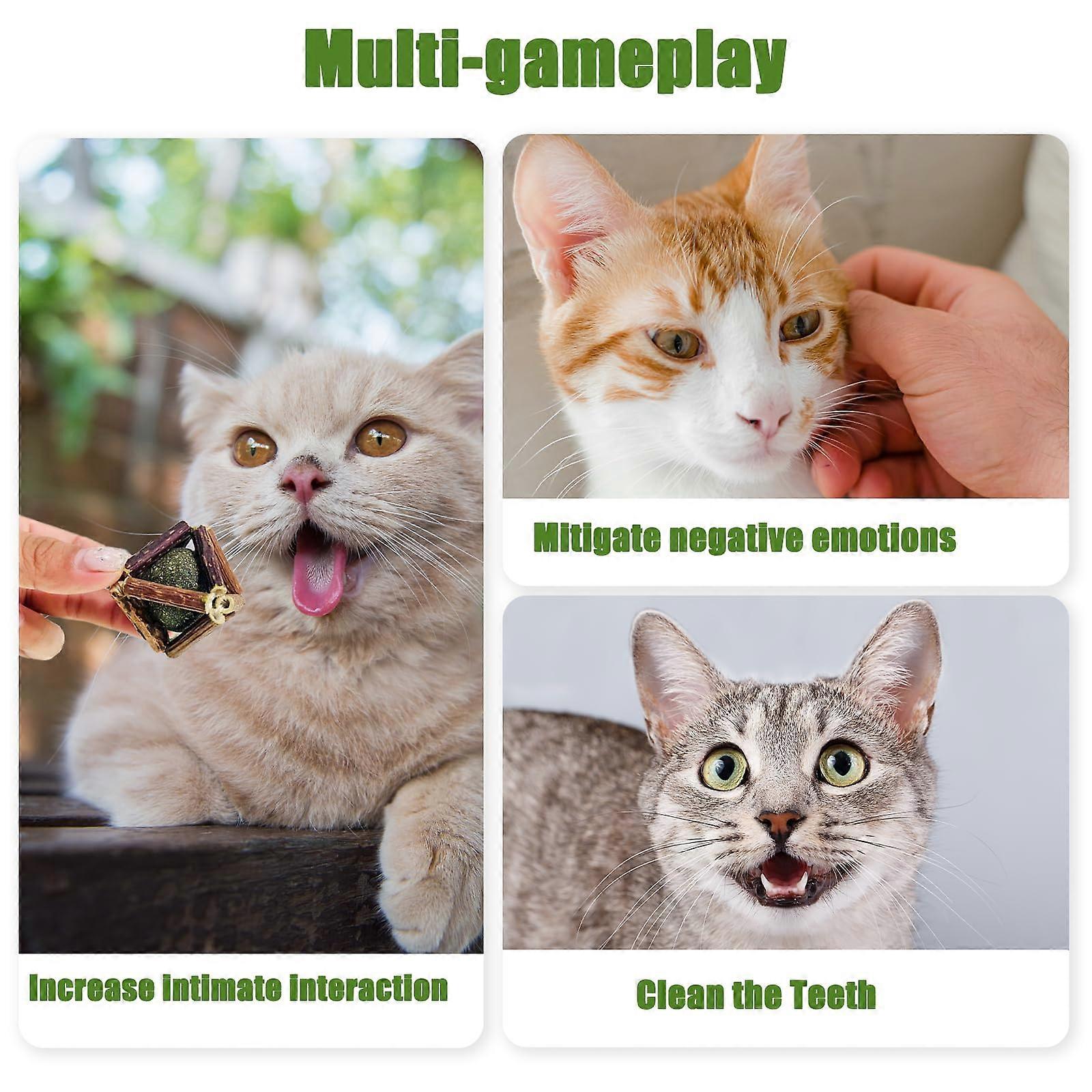 Catnip Ball for Cats, 2Pcs Cat Toys Natural Silvervine Stick Cage Ball ...