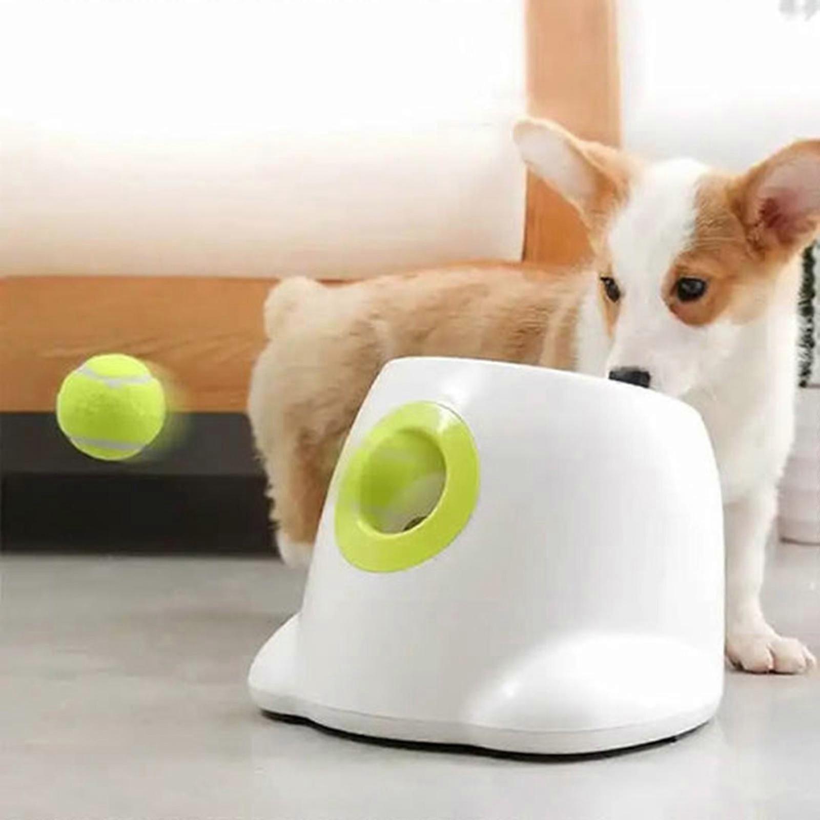 AuTomatic Tennis Ball Launcher For Dogs - Small And Medium Dog Ball ...