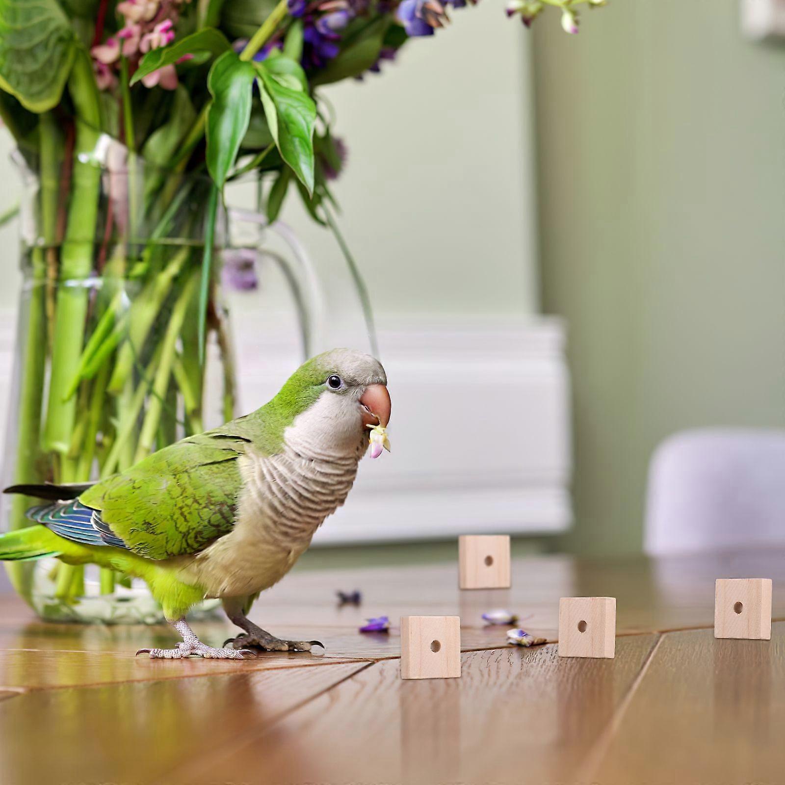 100pcs Parrot Chewing Blocks Wood Chips Diy Craft Wood Blocks Bird Cage ...