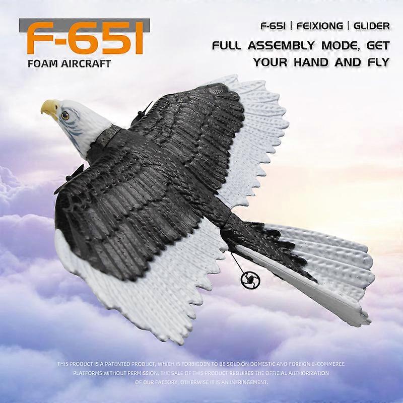 FX651 RC Plane Eagle Airplane Wingspan Glider 2.4G Radio Remote Control ...