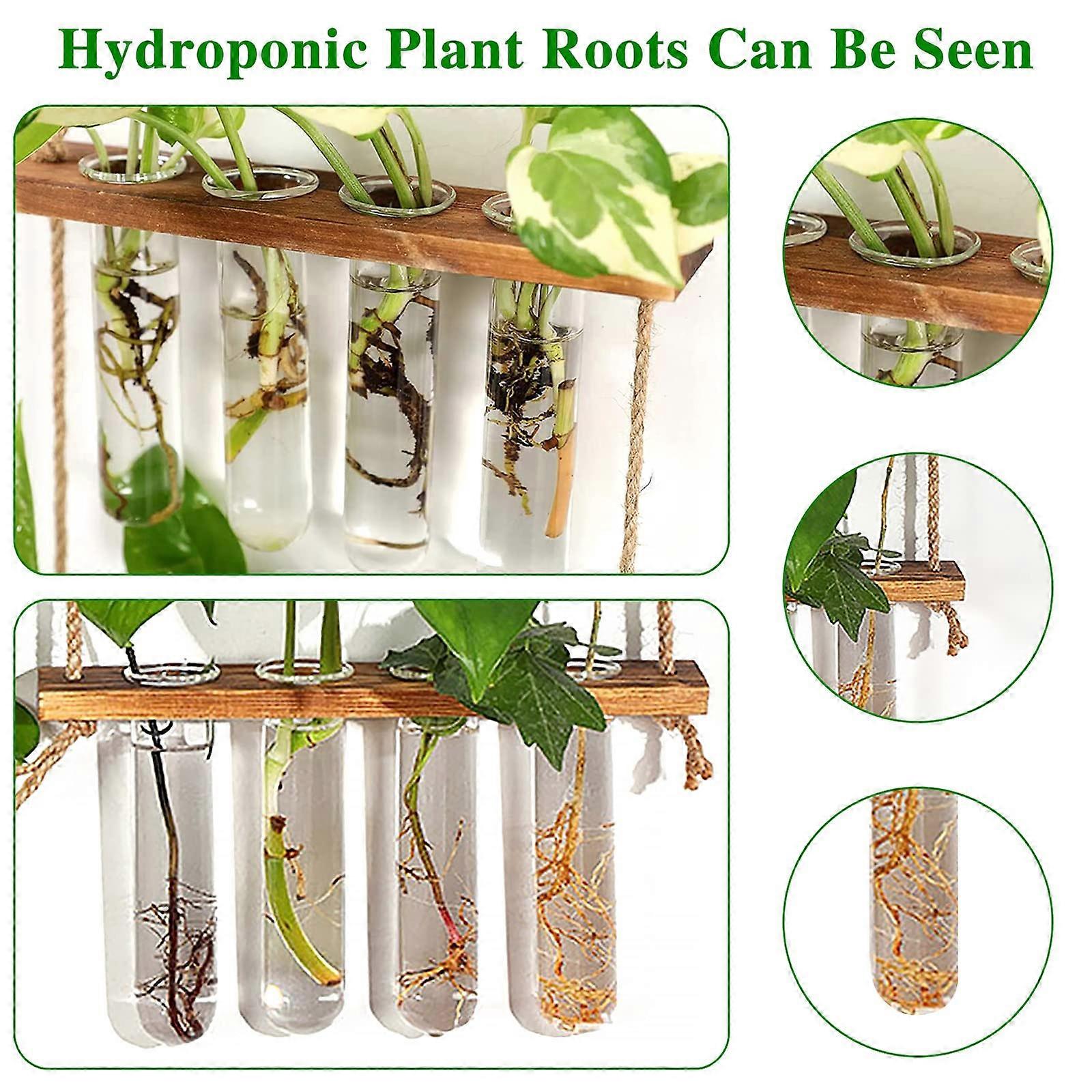 Plant Propagation Station, Wall Hanging 2 Tiered Test Tubes Propagation ...