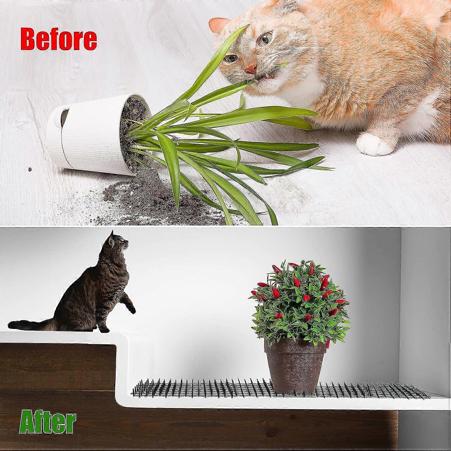 12 Pack 15.5*20cm Scratching Mats with Spikes for Cats, Outdoor Cat ...