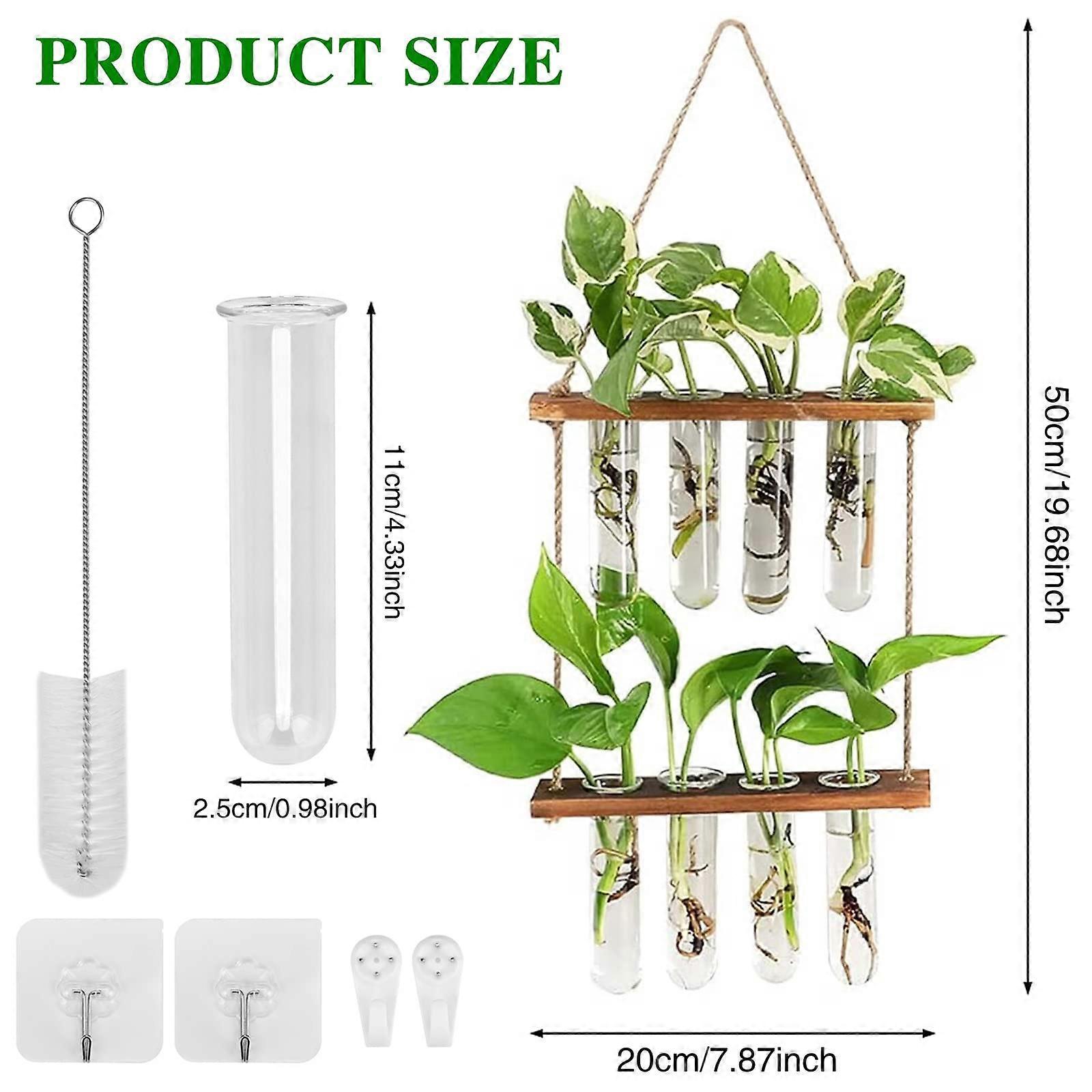 Plant Propagation Station, Wall Hanging 2 Tiered Test Tubes Propagation ...
