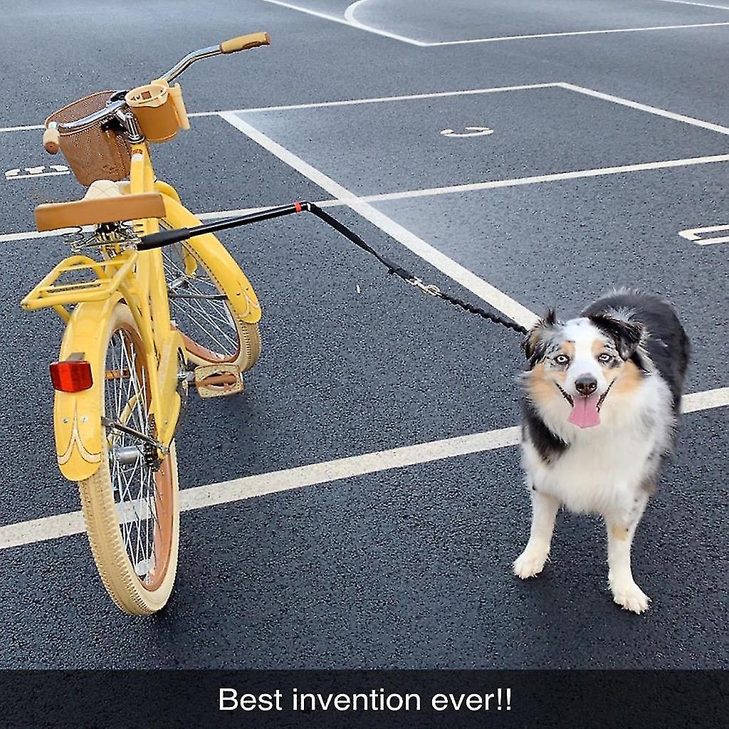 Dog Bike Leash Attachment Hands Free Leash Bicycle Dog Adjustable ...