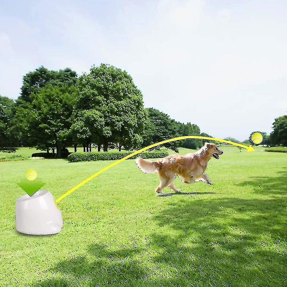 Interactive Automatic Ball Launcher For Dogs, Dog Tennis Ball Throwing ...