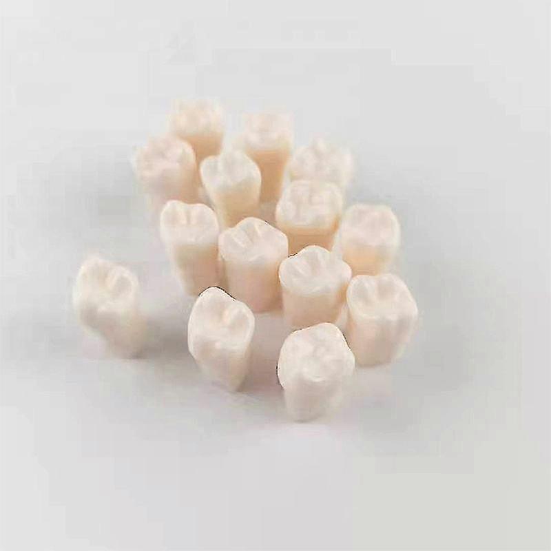 20pcs Dental Endodontics Endo Tooth Teeth Root Canal Models For Rct ...