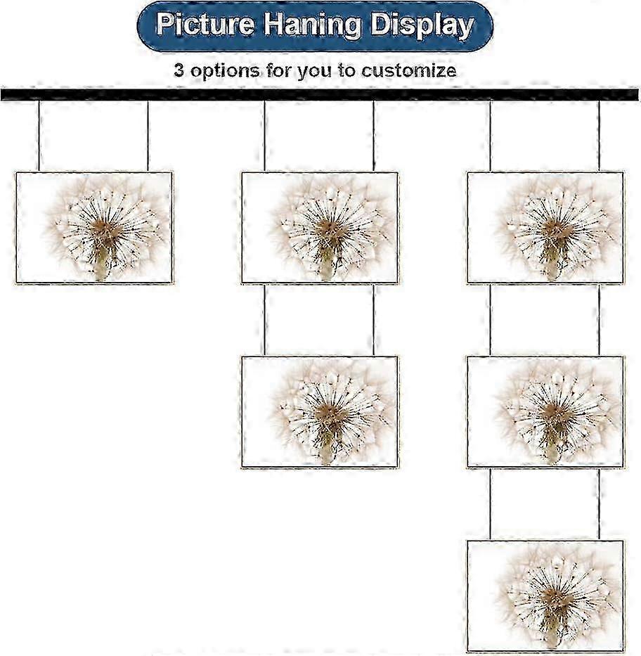 Picture Rail Hooks and Wire, 4.9 Feet Adjustable Picture Hanging ...