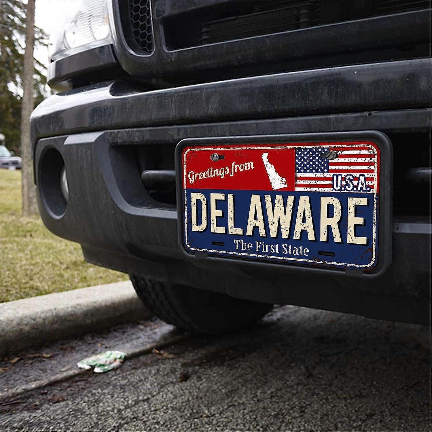 License Plate Baby Sea Turtles Decorative Car Front License Plate ...