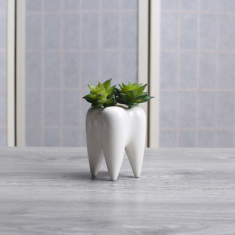 2pcs White Cute Tooth Planter Pots Succulent Tooth Planter Pots ...