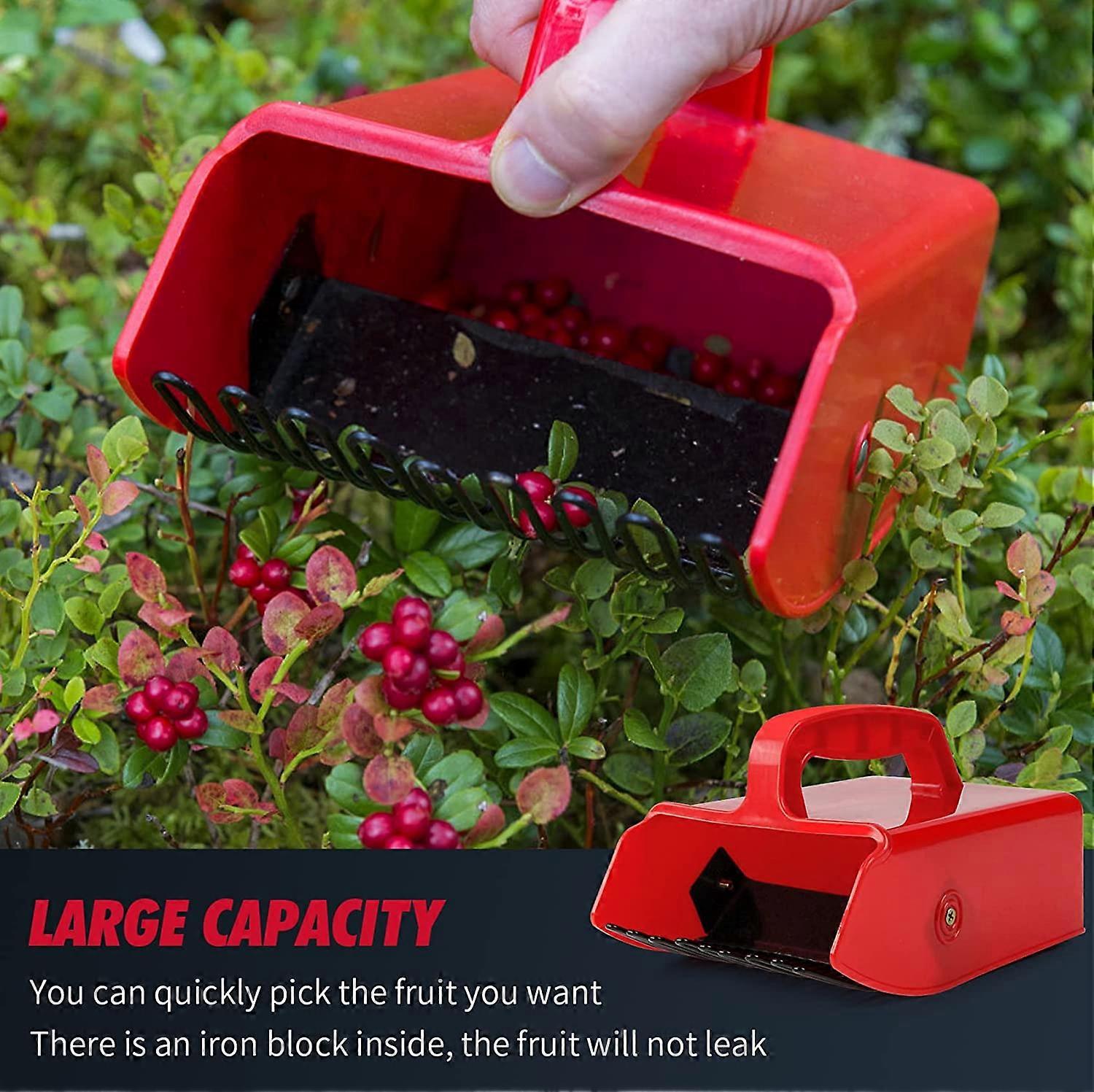 Blueberry Comb - Berry Scoop - Plastic Berry Picker Tools for Picking ...