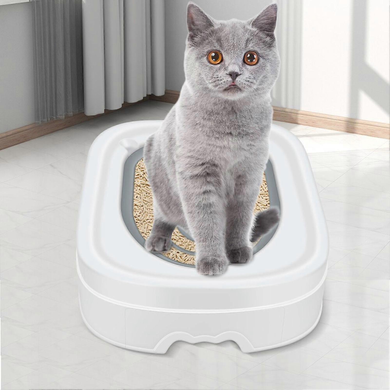 Cat Toilet Training System Teach Cat to Use Toilet Step By Step Guide ...
