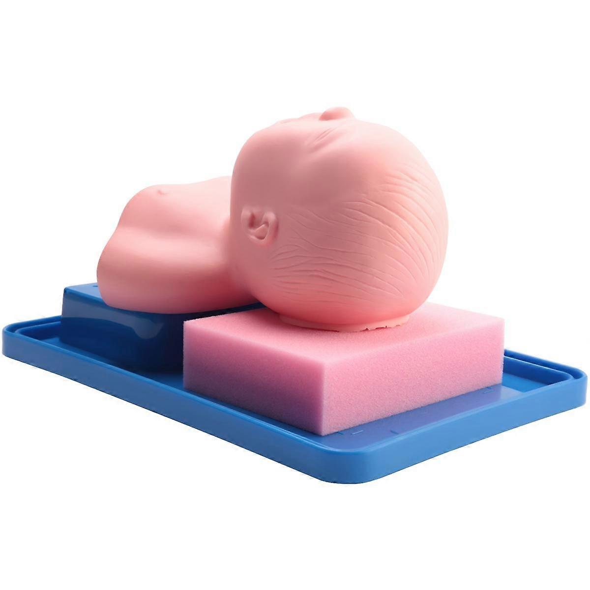 Neonatal Tracheal Intubation Model Analog Double Lung and Stomach ...