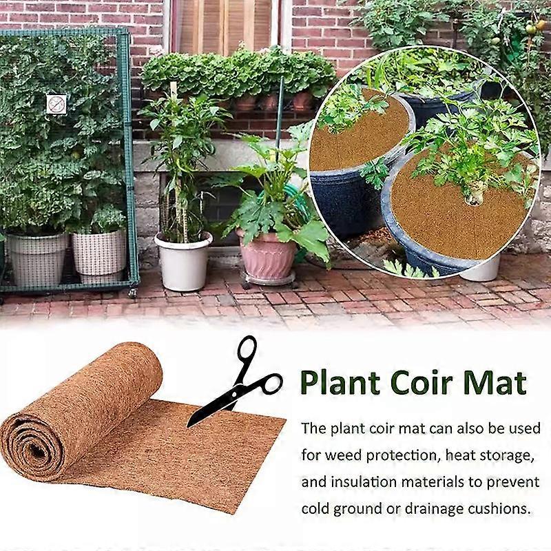 Coconut Palm Plant Growing Kits Mat 20/25x100cm Natural Coco Liner ...