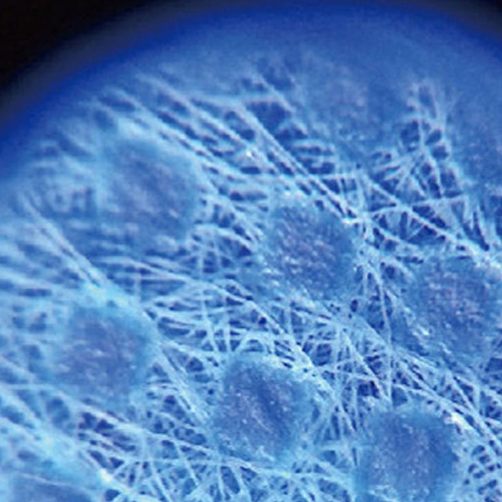 Mini Microscope Pen with LED Light Pouch 100X Mini LED Magnifier ...