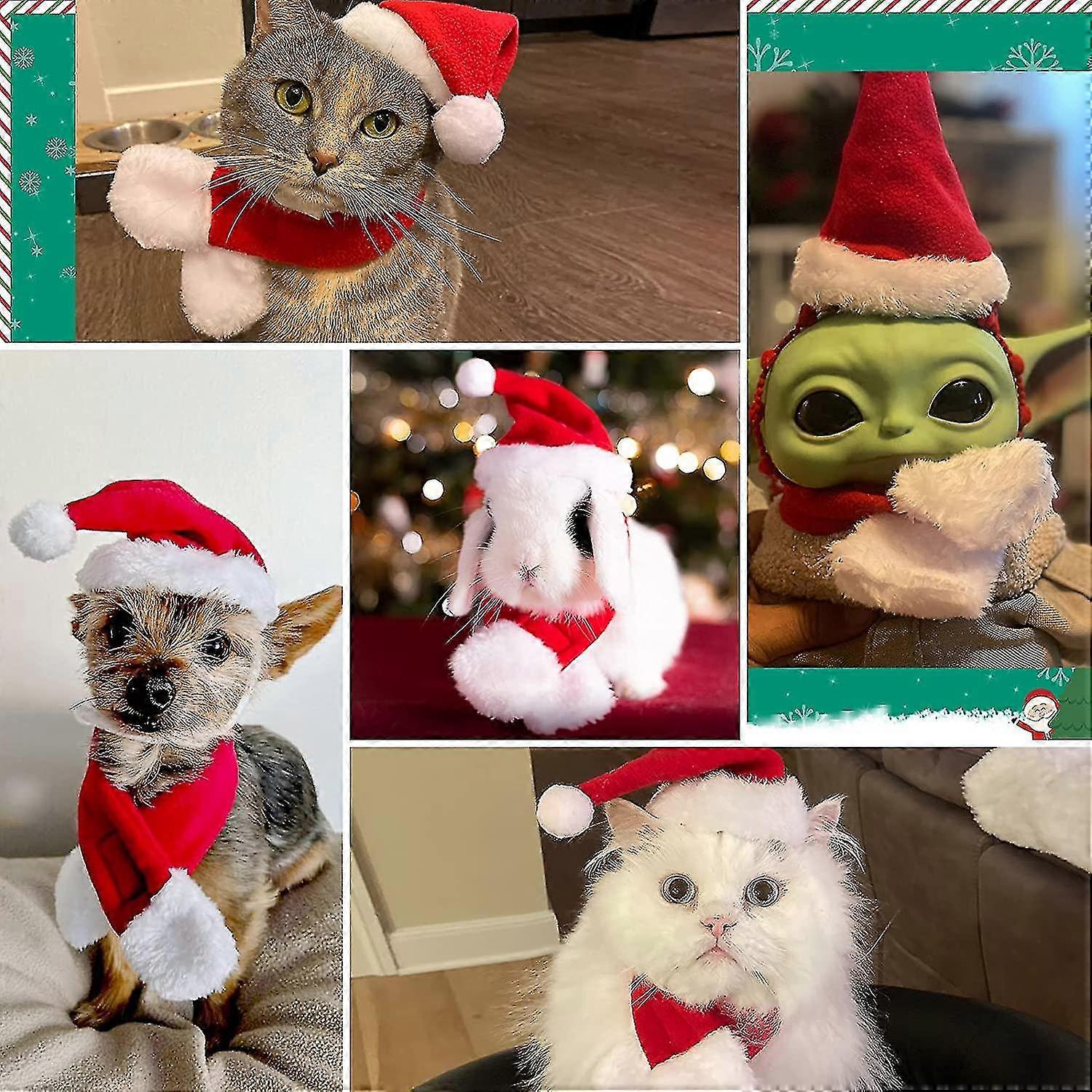 Cat Santa Hat With Scarf -christmas Costume Set Puppy Dog Cat Santa Hat ...