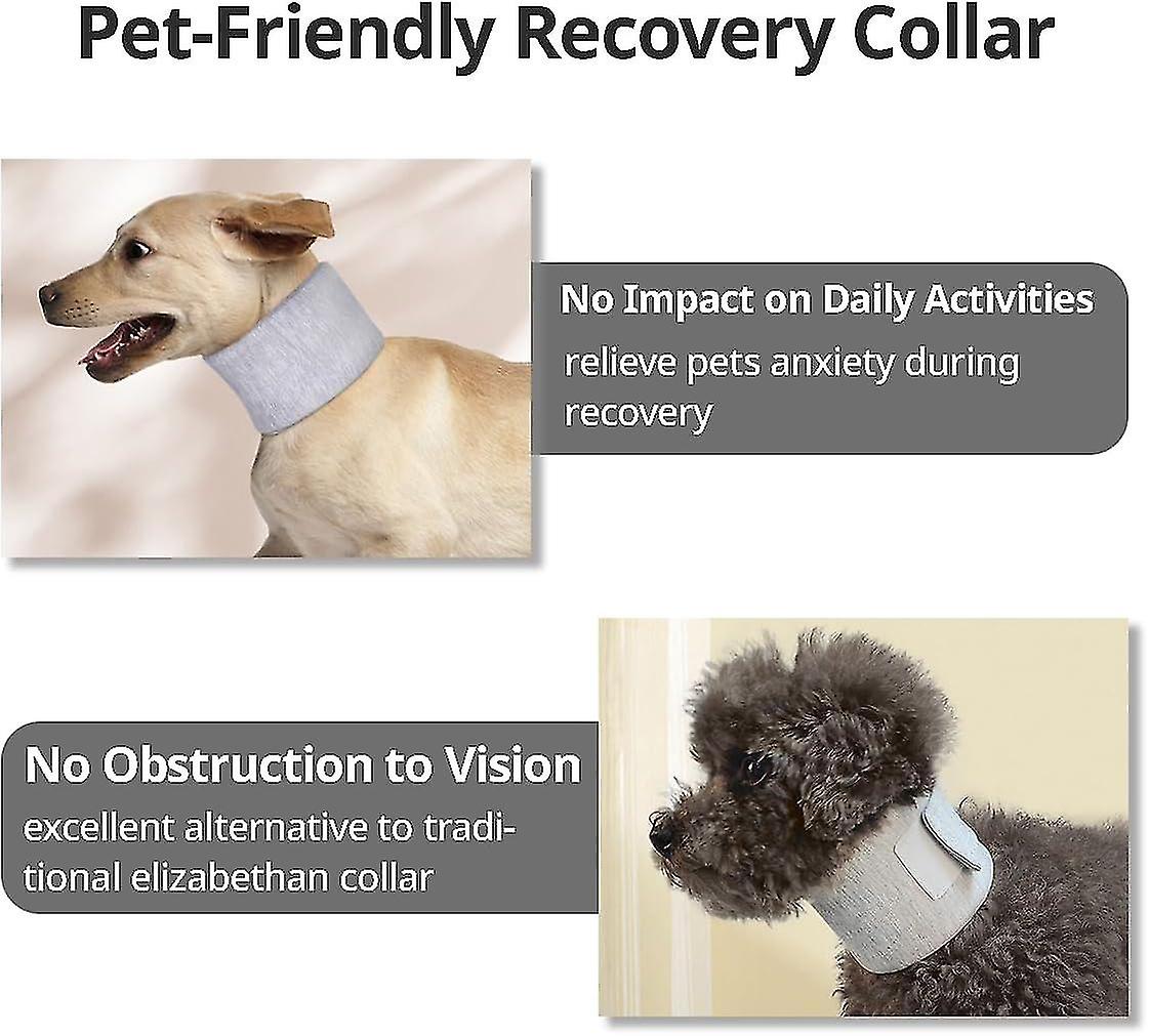 Dog Neck Brace Elizabethan Collar, Recovery After Surgery Adjustable ...