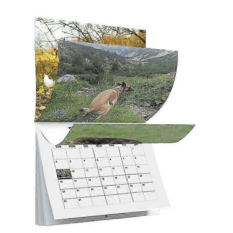 Dogs Pooping In Beautiful Places Wall Calendar 2025 Calendar, Dog ...
