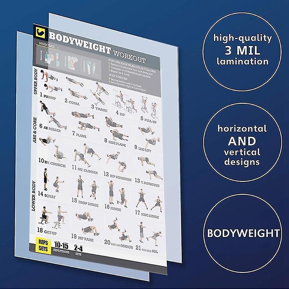 Bodyweight Exercise Poster Set Laminated 2 Chart Set Men And Women Body ...